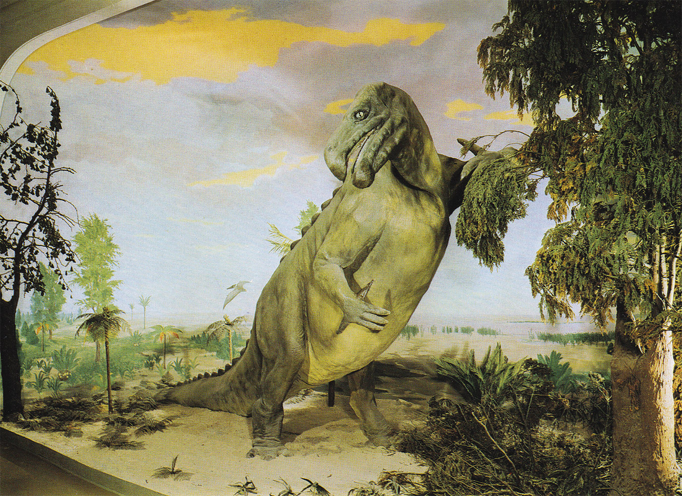 Till Wittwer — Dino Postkarte